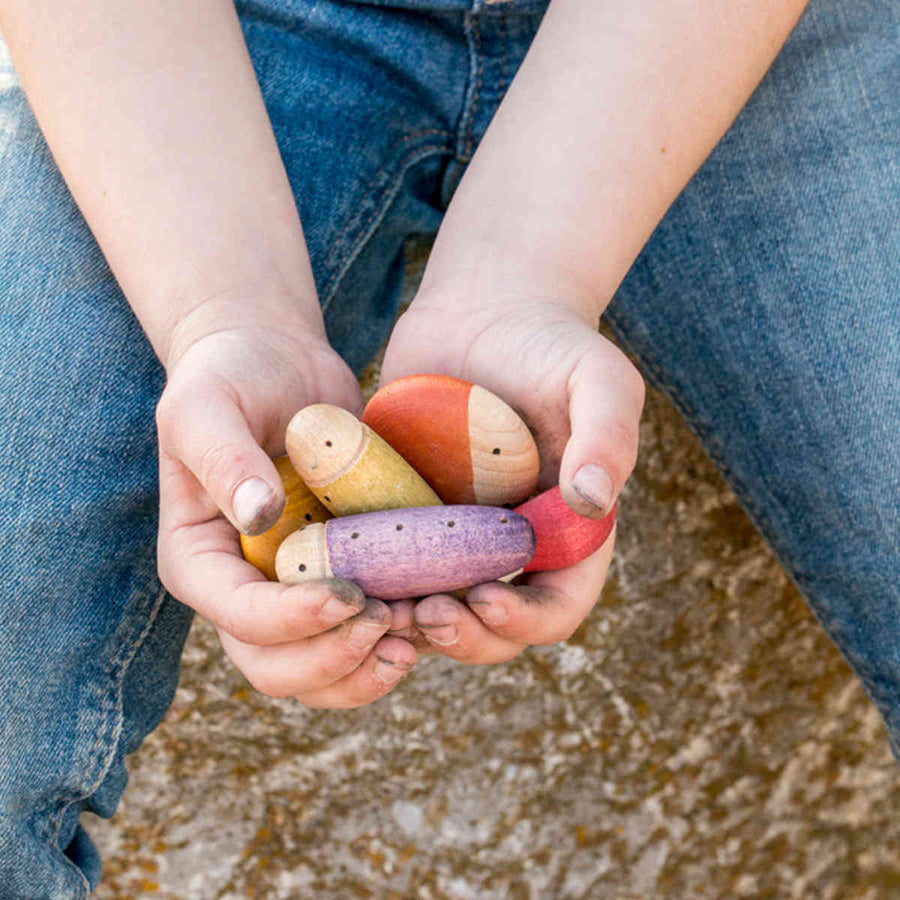 Grapat Wooden Insects – My Sweet Muffin