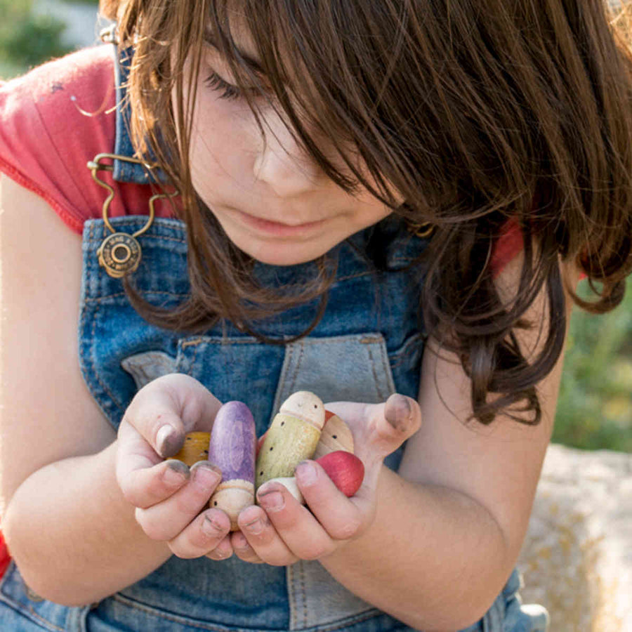 Grapat Wooden Insects – My Sweet Muffin