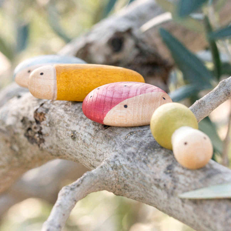 Grapat Wooden Insects – My Sweet Muffin